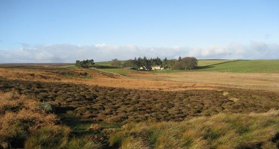 Folly Hall Farm Certified Site, Whitby, North Yorkshire