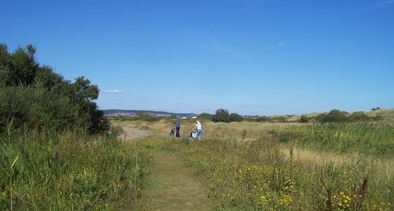 Hunters Lodge Caravan & Camping Site, Exeter, Devon