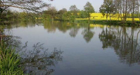 Grendon Lakes, Northampton, Northamptonshire