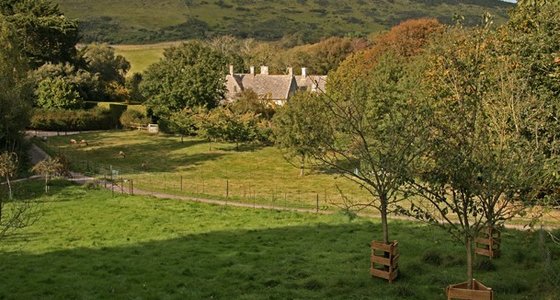 Steeple Leaze Farm, Wareham, Dorset