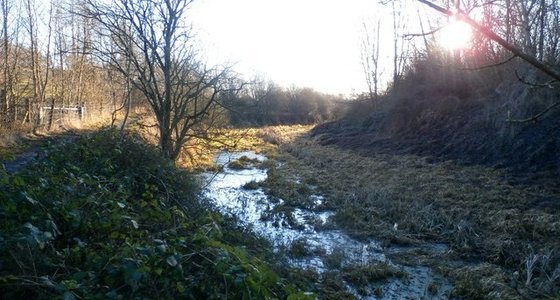 Calder Farm Certificated Site, Clitheroe, Lancashire