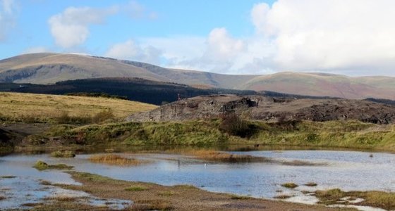 Newbiggin Farm Certificated Site, Millom, Cumbria
