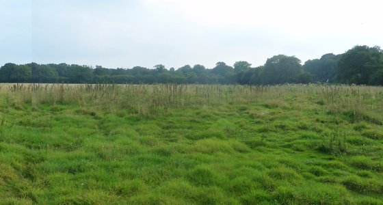 Gatwick Caravan and Motorhome Club Site, Crawley, West Sussex