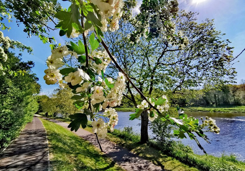 Rawcliffe Holiday Park, Preston, Lancashire