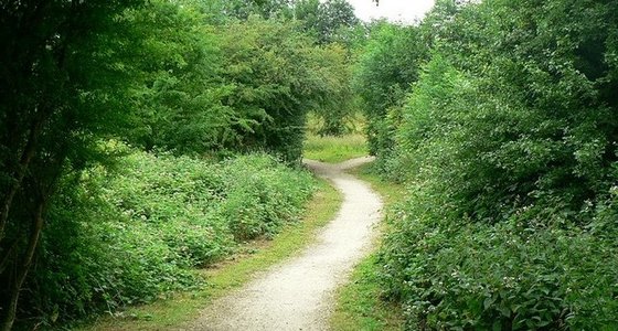 Gold Coin Farm Campsite (Certificated Site), Ripon, North Yorkshire