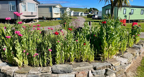Sandend Holidays, Sandend, Aberdeenshire