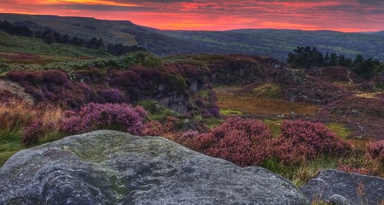 Cliffe Country Lodges, Selby, North Yorkshire