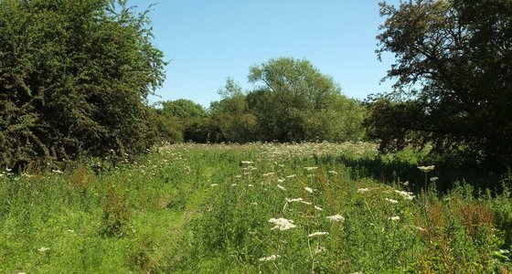 Newholme Caravan Park, Ripon, North Yorkshire