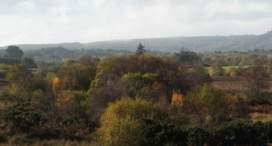 Burnbake Campsite, Wareham, Dorset
