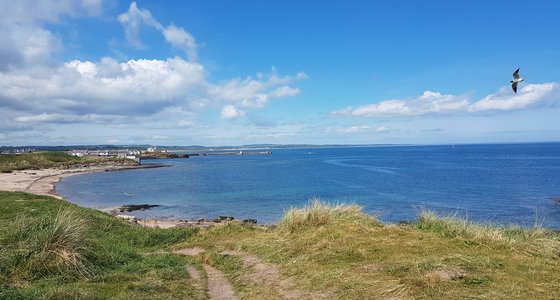 Amble Links Holiday Park, Morpeth, Northumberland