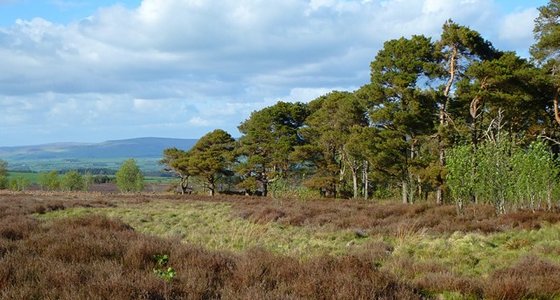 Tymparon Hall, Penrith, Cumbria