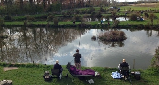 Field Farm Fisheries, Beccles, Suffolk