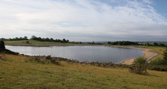 Fox Covert Farm (Certificated Site), Ripon, North Yorkshire