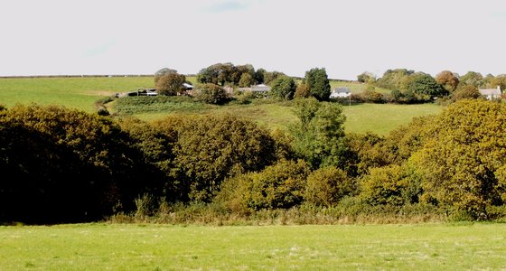Beara Farm Camping Site, Buckfastleigh, Devon