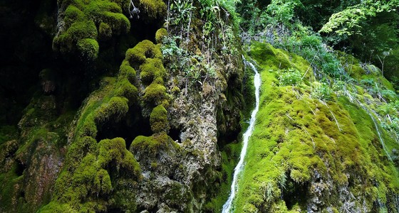 La Source Du Jabron, Comps, Drôme