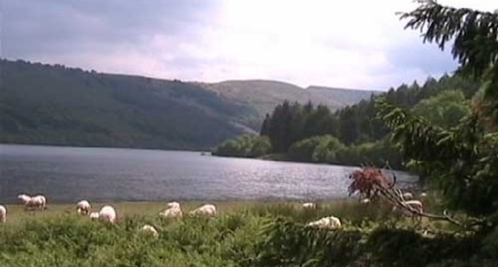 Moelfre View Caravan Park, Talybont, Gwynedd