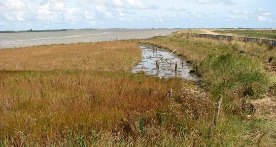 Waxham Sands Holiday Park, Great Yarmouth, Norfolk