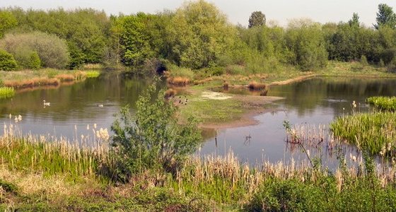 Charity Farm, Nr Wigan, Lancashire