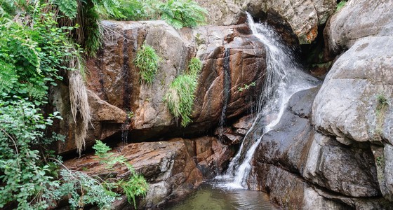 Camping l'Acciola, Évisa, Corse Sud