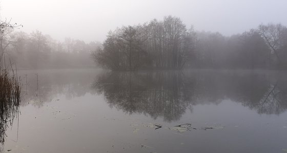 Cobbleacre Park, Norwich, Norfolk