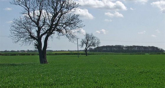 High Farm Country Park, Beverley, East Riding of Yorkshire