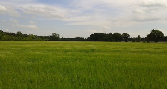 Pool Bridge Farm, York, North Yorkshire