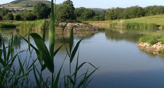 Spring Rock Fishery and Caravan Park, Llandrindod Wells, Powys