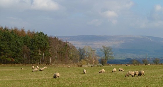 Lazonby Community Campsite & Pool, Lazonby, Cumbria