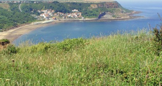 Runswick Bay Camping And Caravan Park, Saltburn-by-the-Sea, North Yorkshire