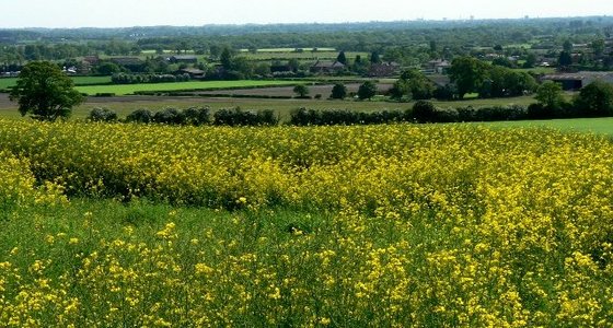 Melbourne Grange Farm Certificated Site, York, East Riding of Yorkshire