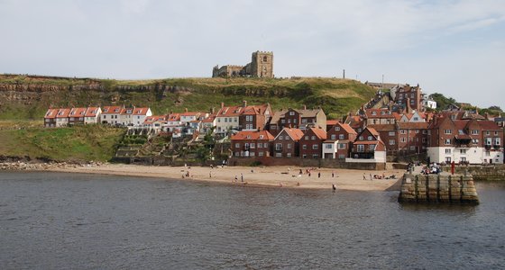 Beacon Farm Certified Site, Whitby, North Yorkshire